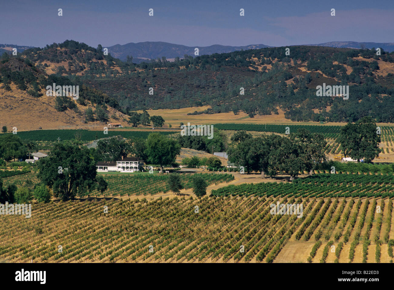 Guenoc and Langtree Estate Vineyards and Winery near Middletown Lake ...