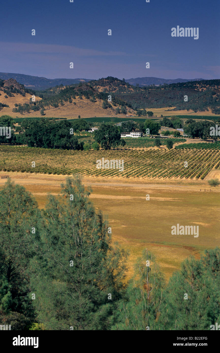 Langtree Stock Photos & Langtree Stock Images - Alamy