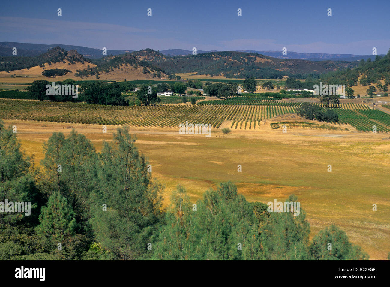 Guenoc and Langtree Estate Vineyards and Winery near Middletown Lake ...