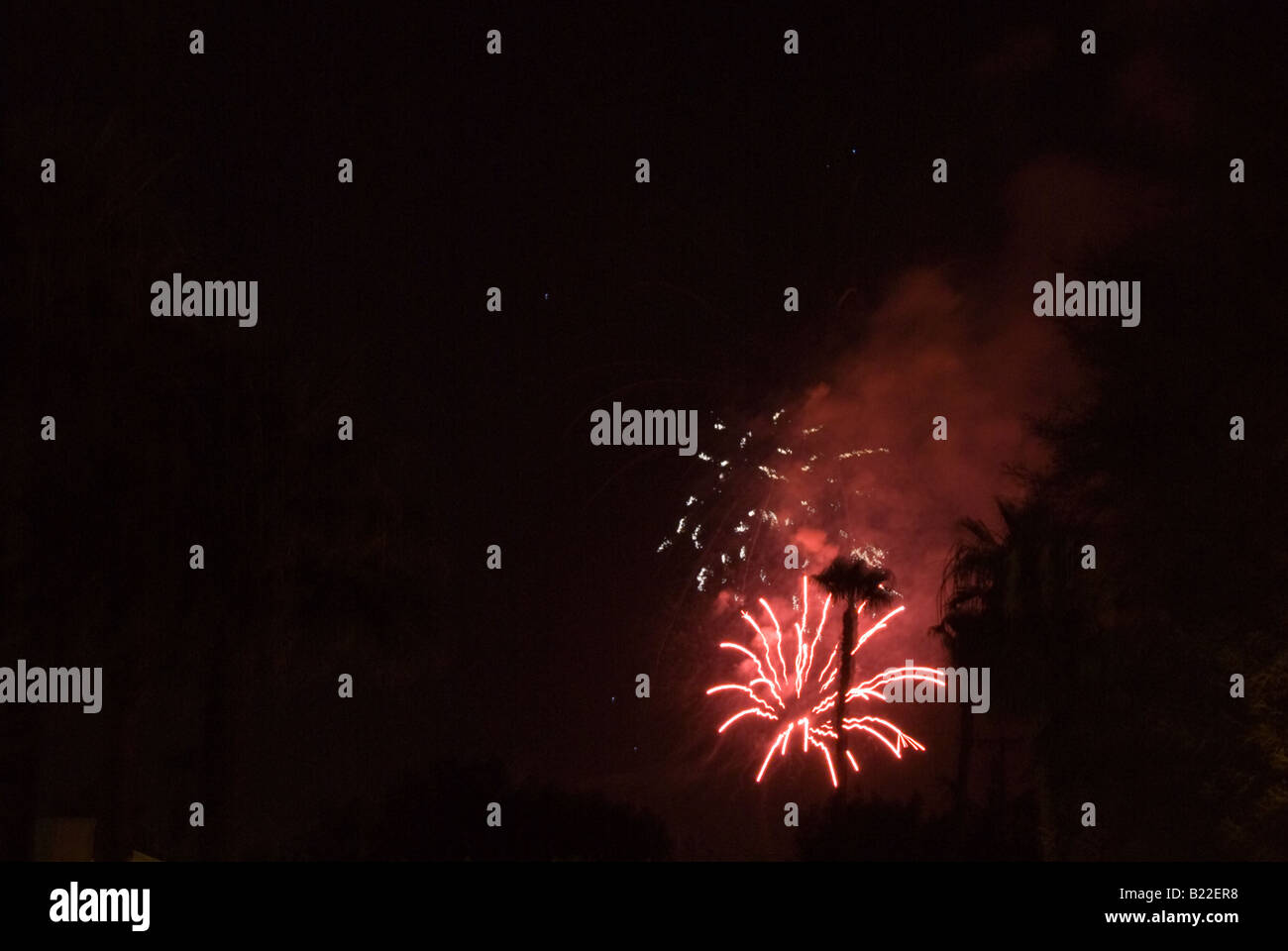 Palm tree fireworks hi-res stock photography and images - Alamy