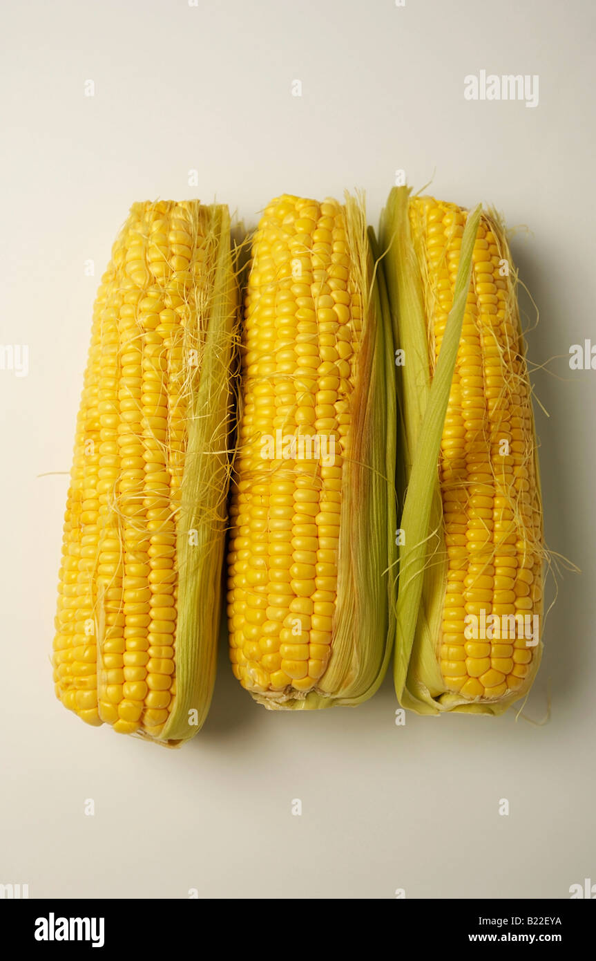 Three ears of corn on the cob Stock Photo - Alamy