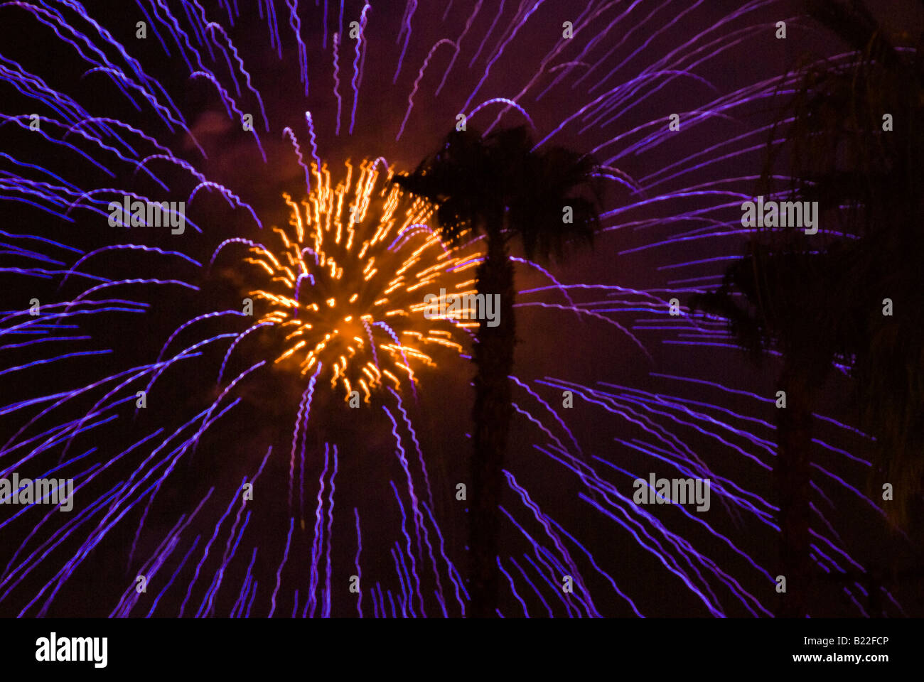 Celebration fireworks - with palm tree Stock Photo - Alamy