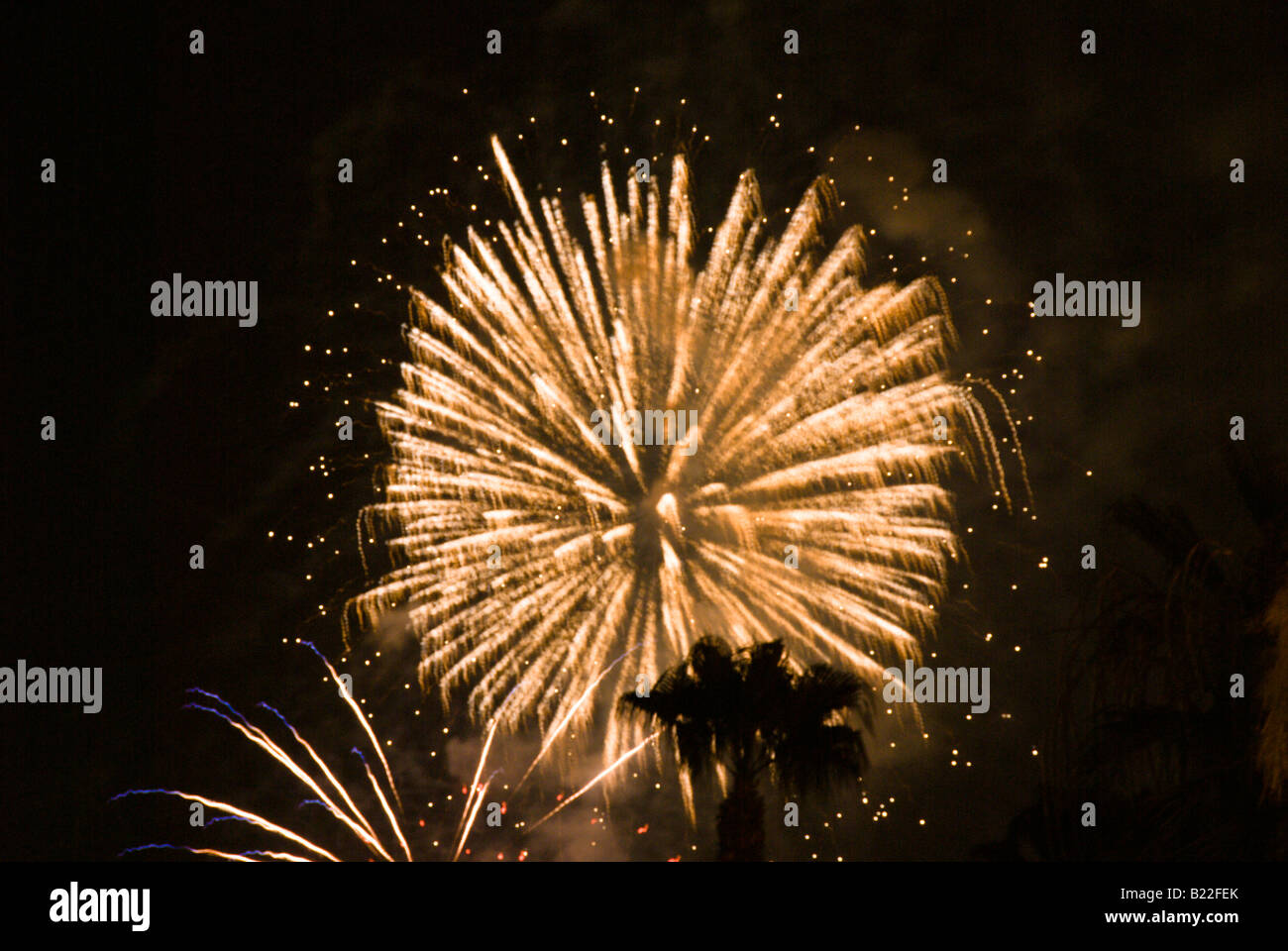 Celebration fireworks - with palm tree Stock Photo - Alamy