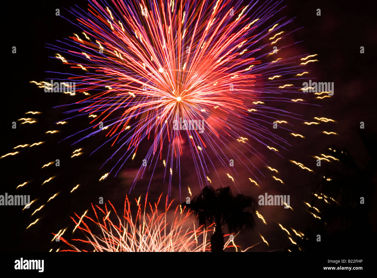 Celebration fireworks - with palm tree Stock Photo - Alamy