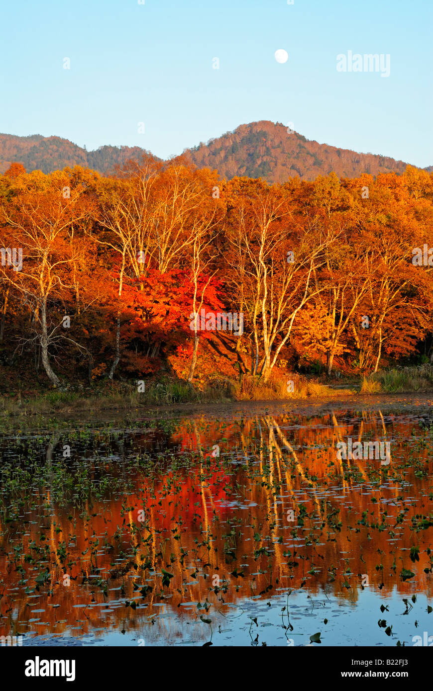 Joshin etsu kogen national park hi-res stock photography and images - Alamy