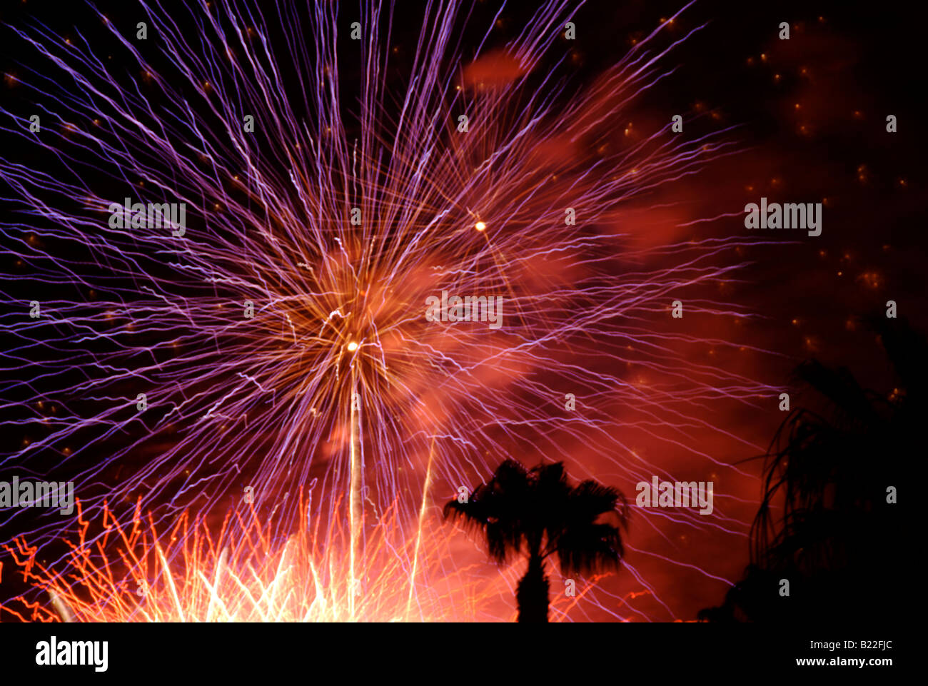 Celebration fireworks - with palm tree Stock Photo - Alamy