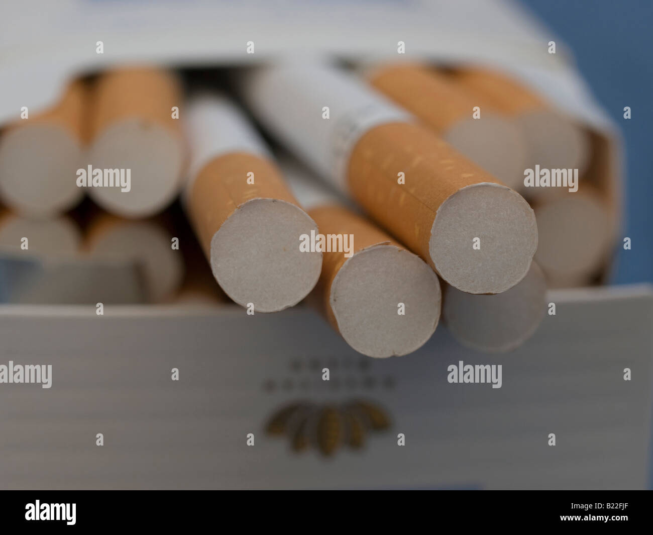 opened cigarette box with many filter cigarettes Stock Photo - Alamy