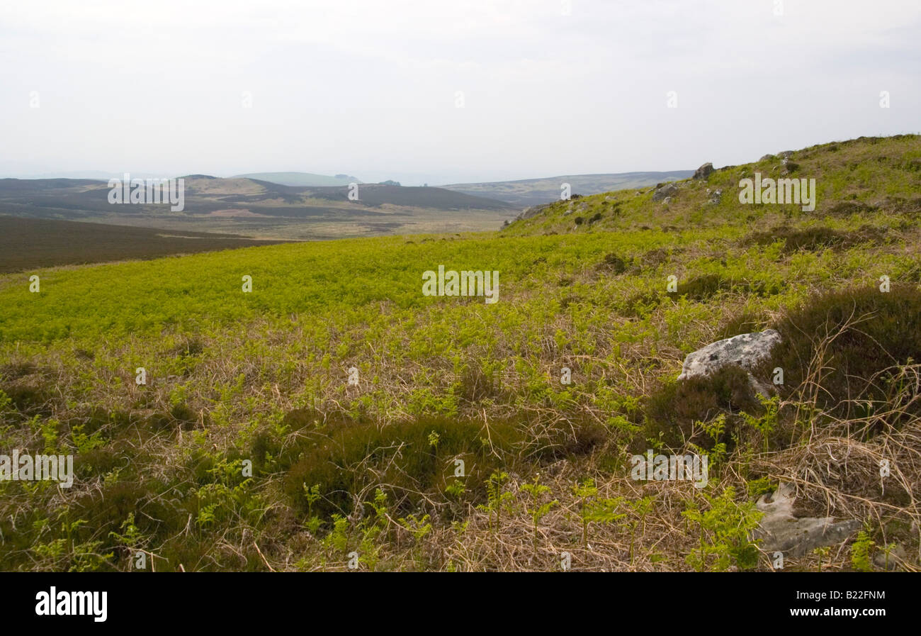 Eglingham moorland overcast hi-res stock photography and images - Alamy