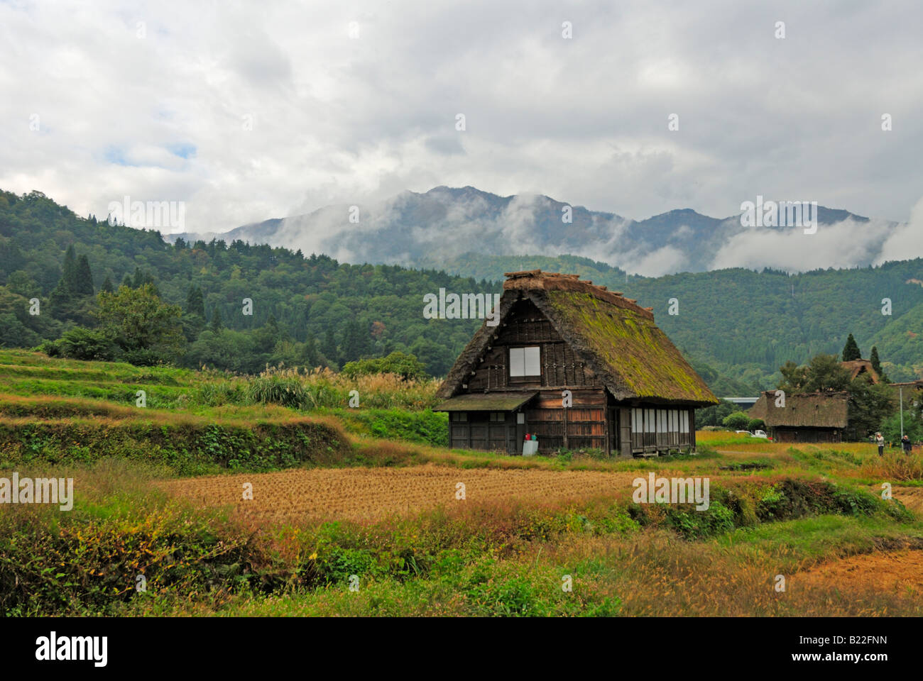 Rural farm houses built in gassho zukuri hands in prayer UNESCO World ...