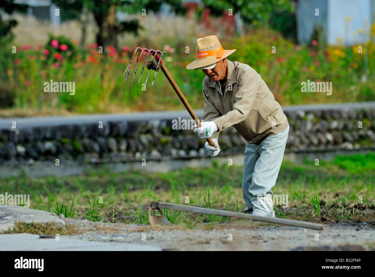 Japan summer working hi-res stock photography and images - Alamy