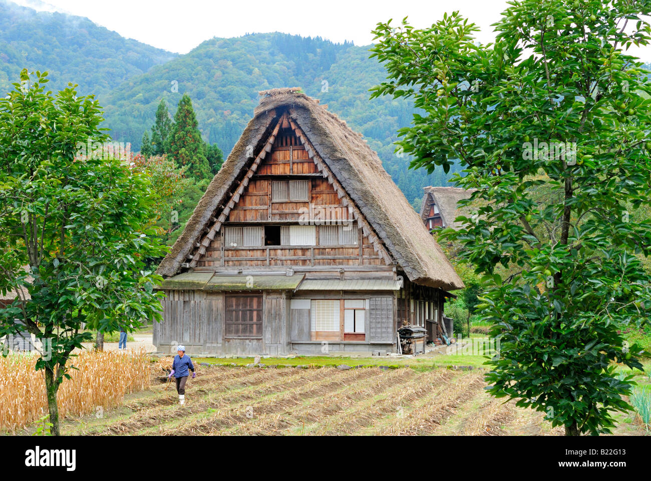 Farmer working in the field before gassho zukuri rural farmhouse ...