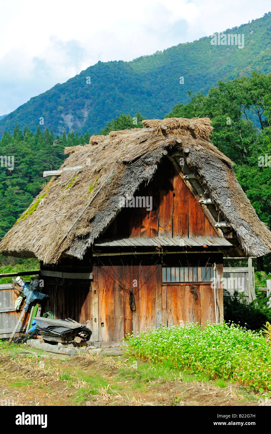 Traditional Japanese farmhouses in Shirakawa village viewed from above ...