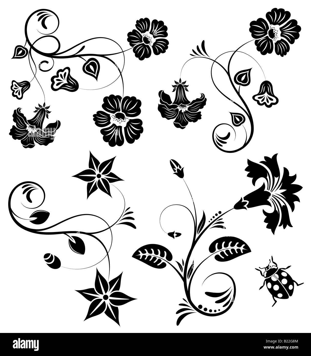 Collect flower border with ladybug Stock Photo - Alamy