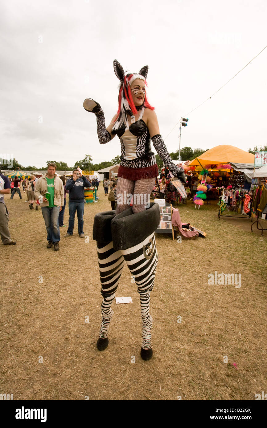 Debra the zebra at the Glastonbury Festival 2008 Stock Photo - Alamy