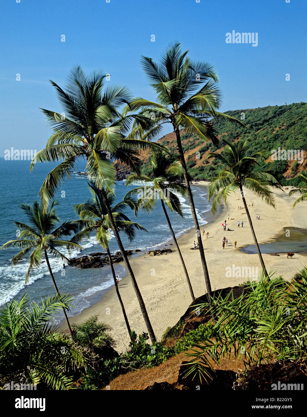 0918 Arambol Beach Goa State India Stock Photo - Alamy