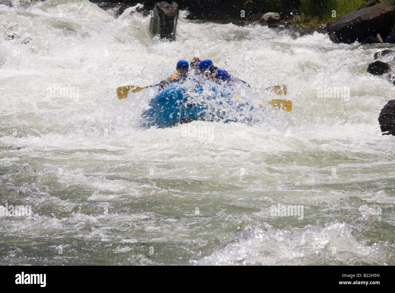 Whitewater rafters hi-res stock photography and images - Alamy