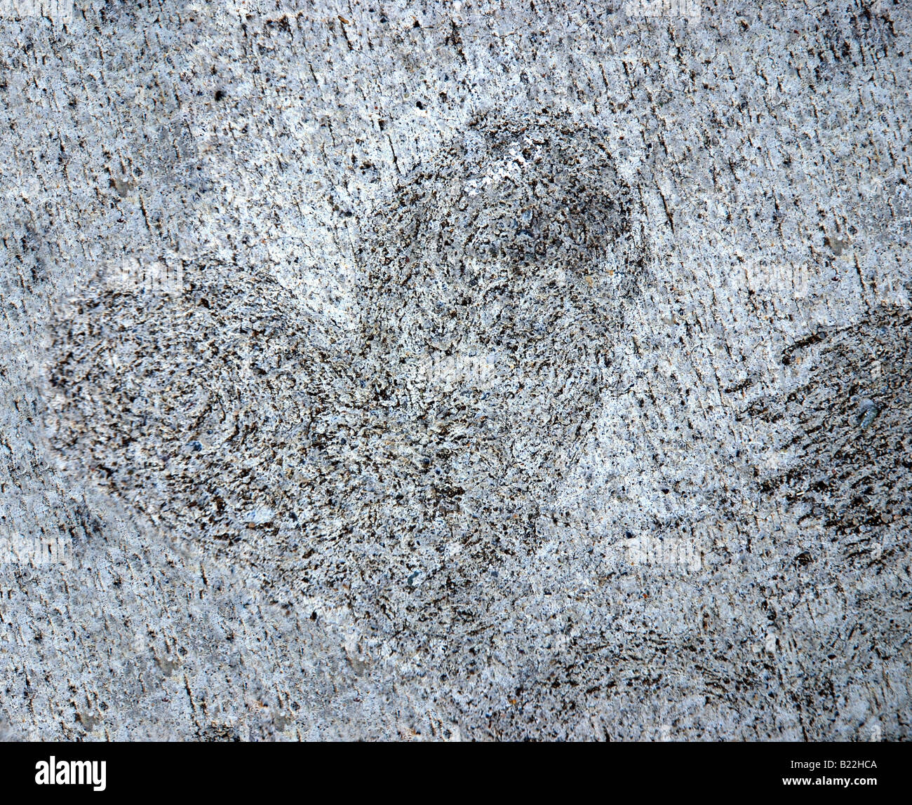 Dried cement hi-res stock photography and images - Alamy