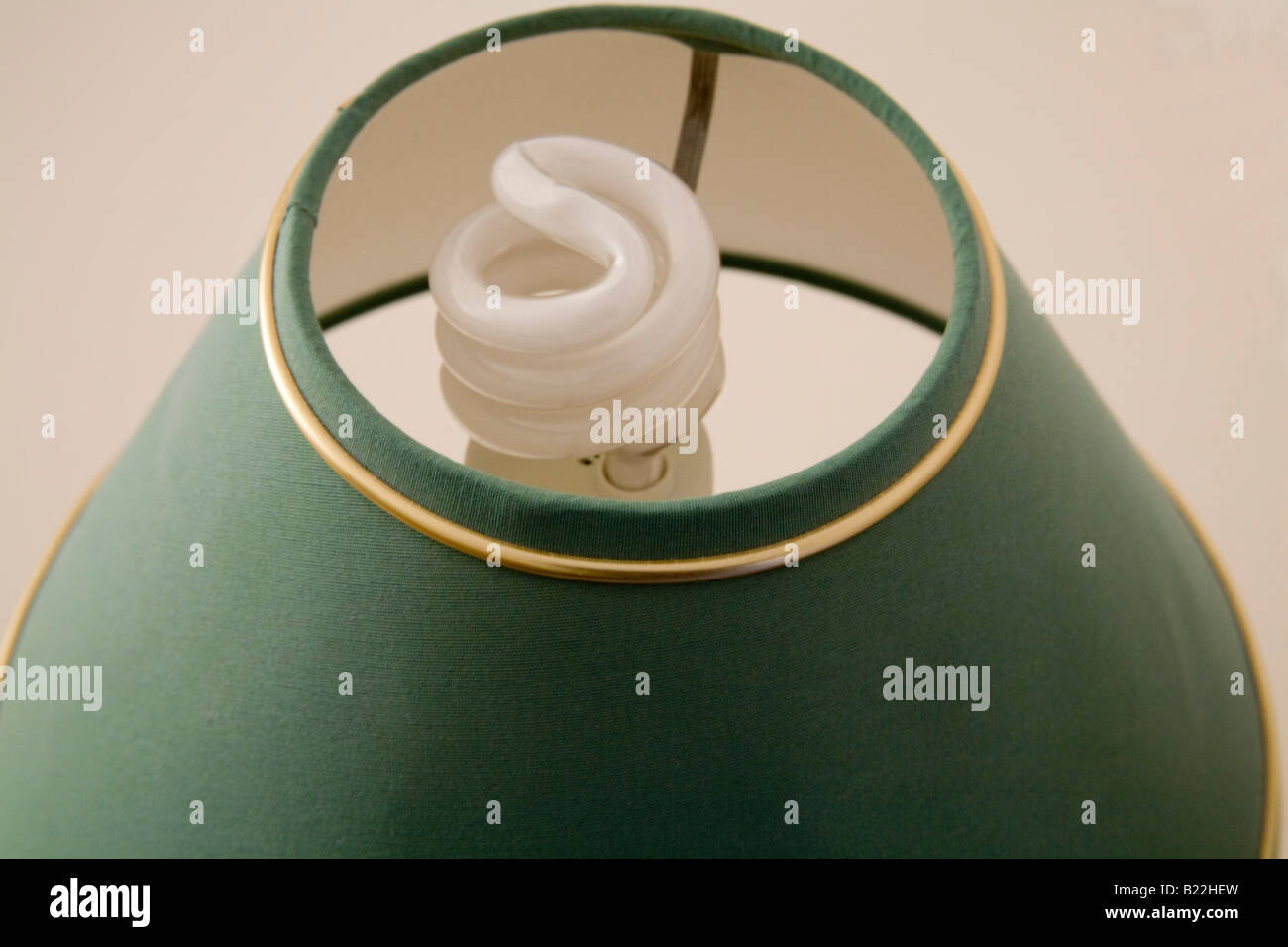 Close up Still Life Studio Close up of a small spiral shaped low energy ...