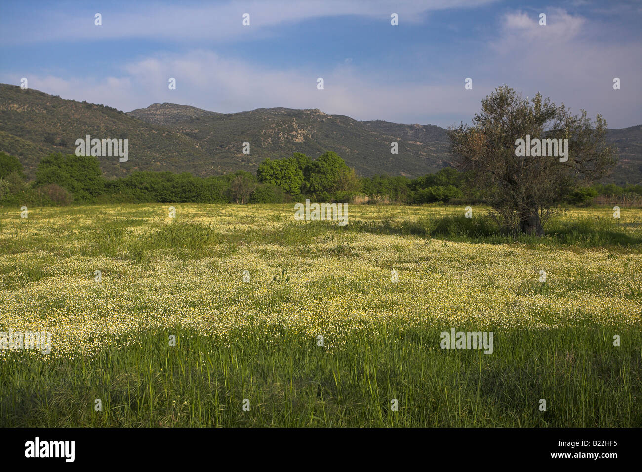 Potamia valley hi-res stock photography and images - Alamy