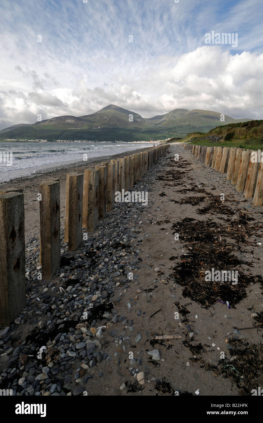 Murlough nature reserve beach sand dunes Groynes Groins slieve donard ...