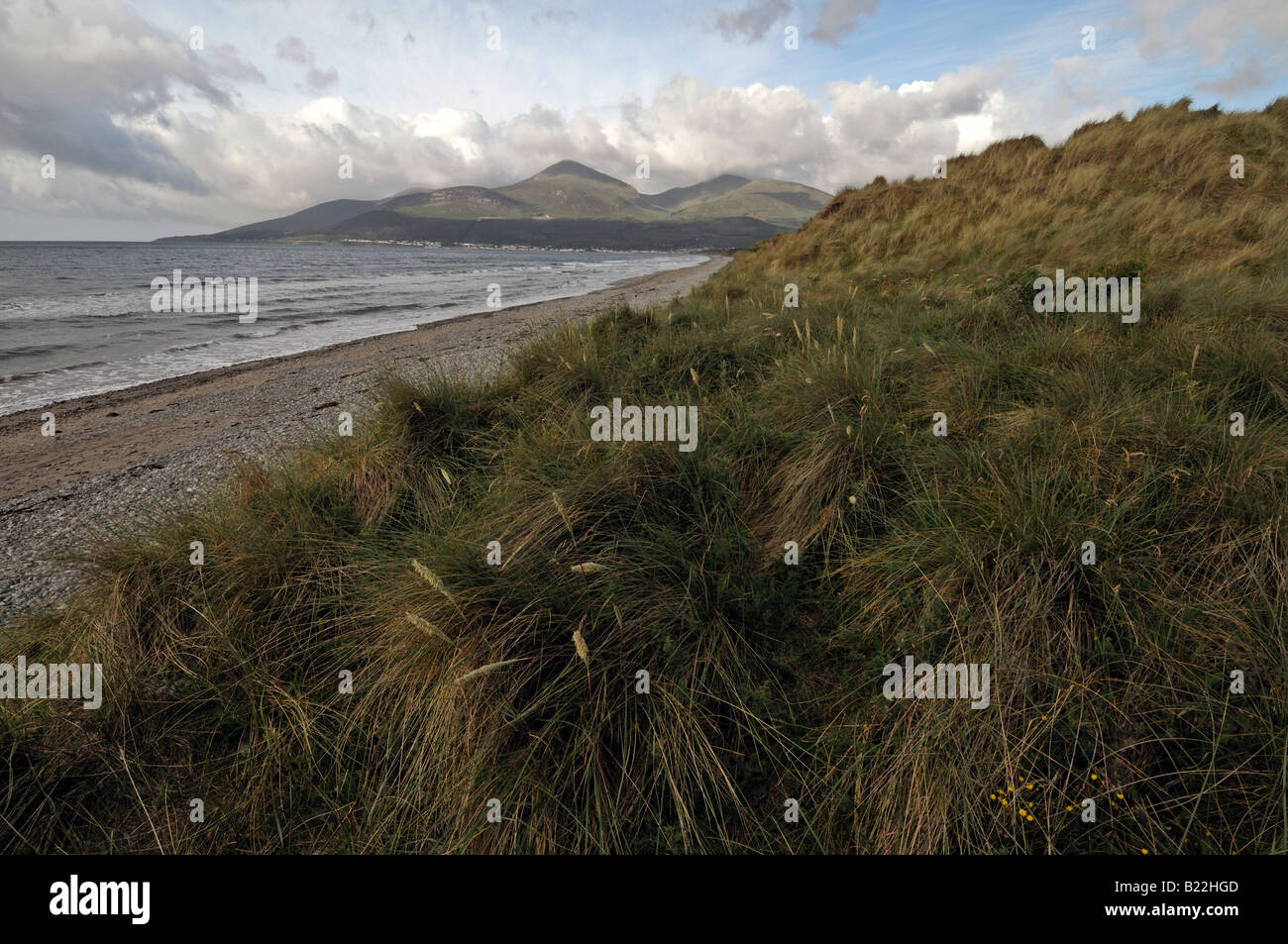 Murlough nature reserve hi-res stock photography and images - Alamy
