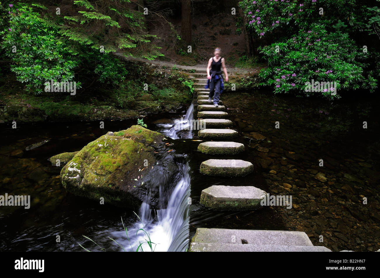 woman stepping stones footpath walkway crossing cross across the shimna ...