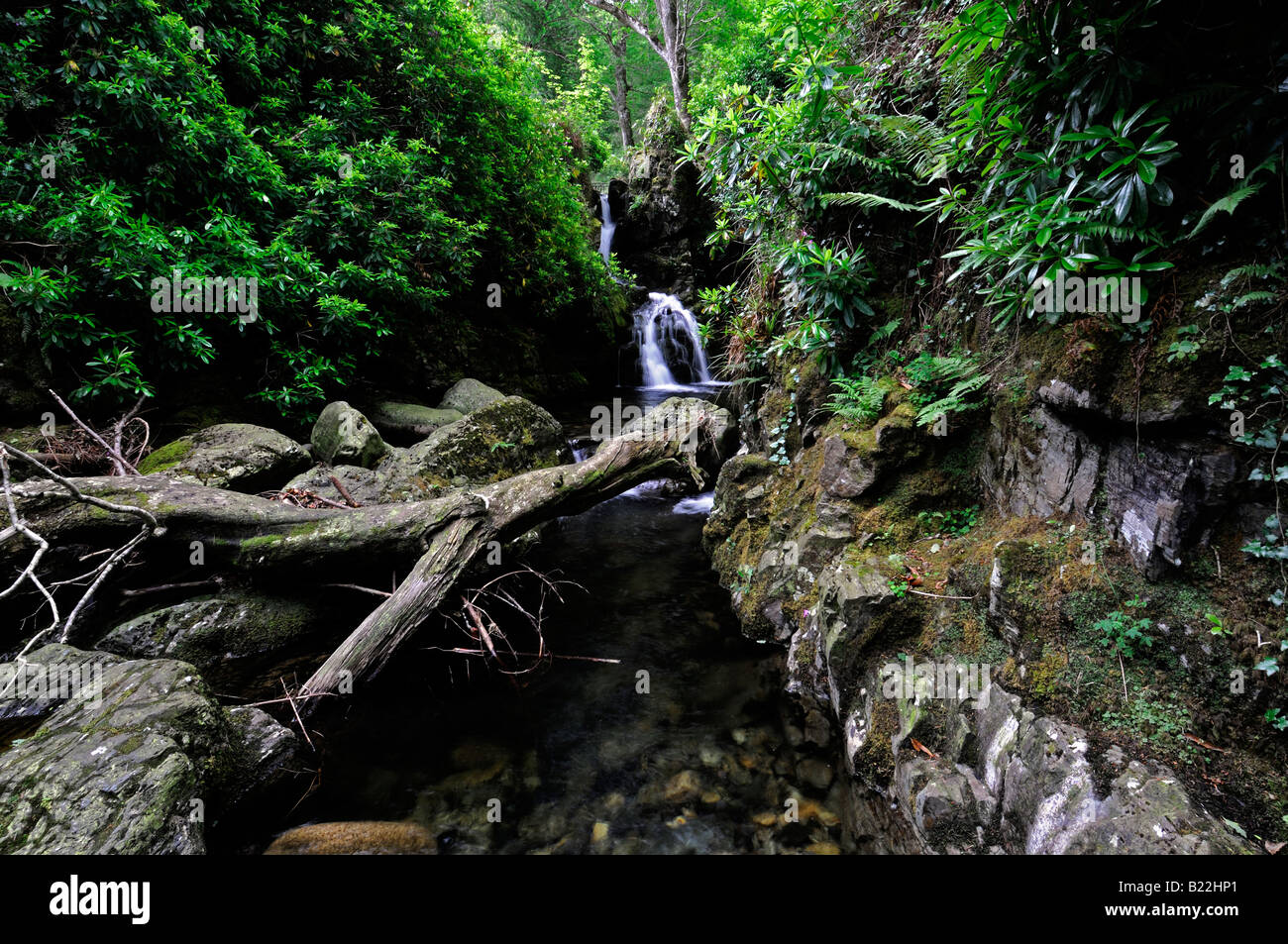 Cascade Falls waterfall, Tollymore Forest park county down northern ...