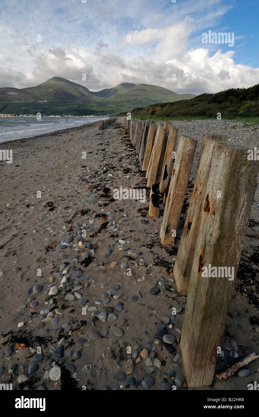 Murlough nature reserve beach sand dunes Groynes Groins slieve donard ...
