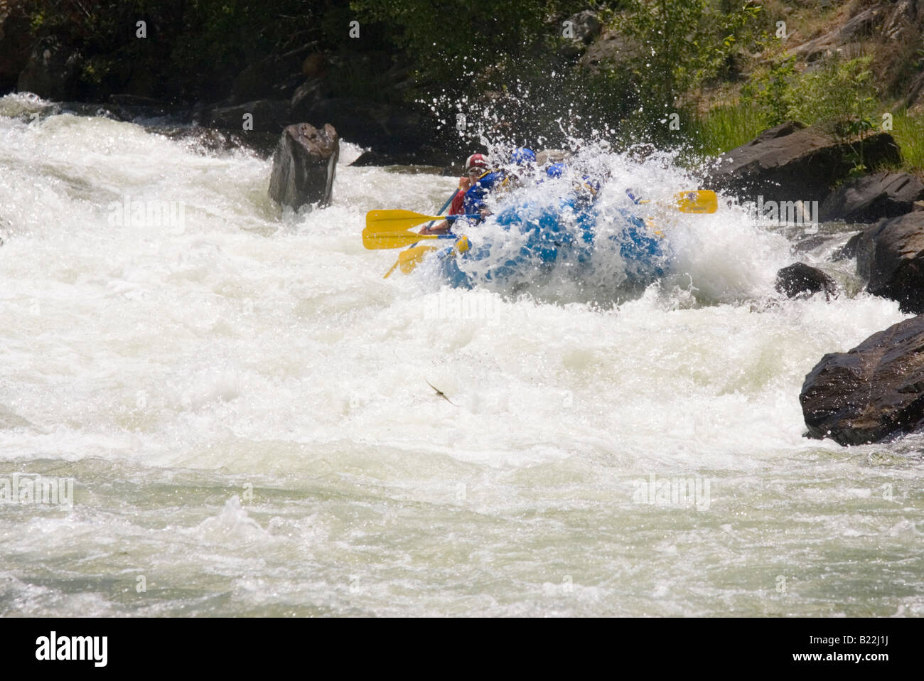 Whitewater rafters hi-res stock photography and images - Alamy