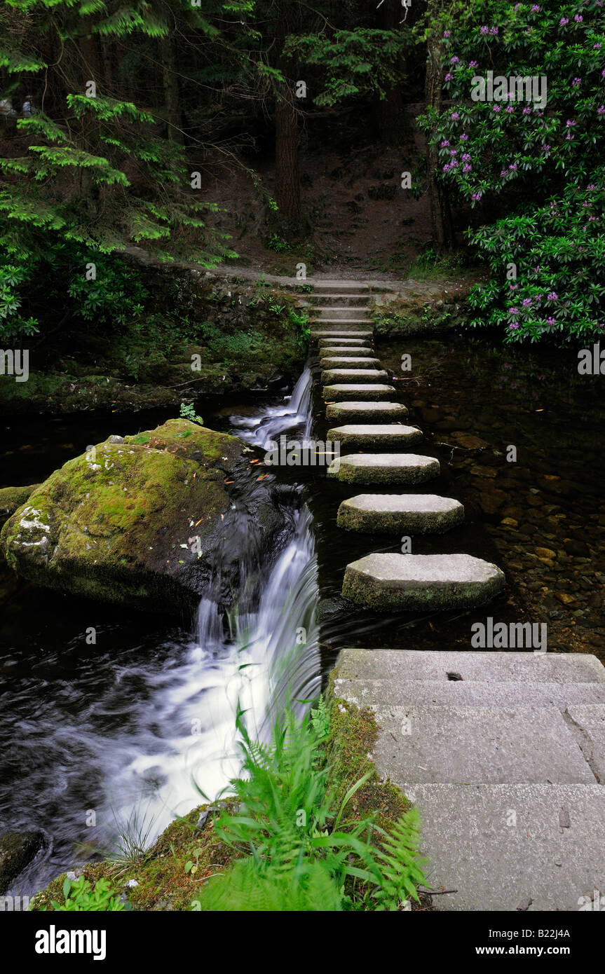 stepping stones footpath walkway crossing cross across the shimna river ...