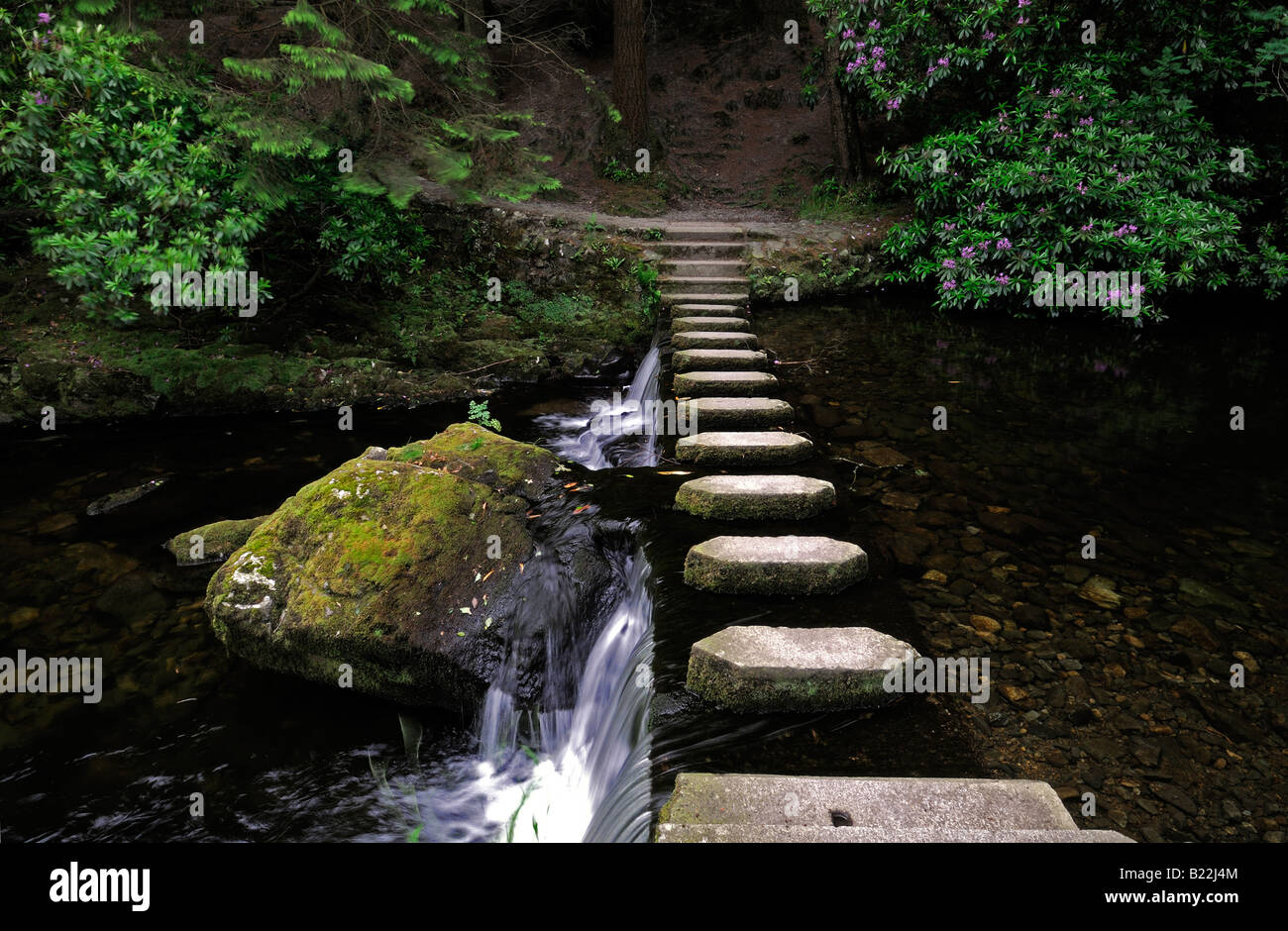 stepping stones footpath walkway crossing cross across the shimna river ...