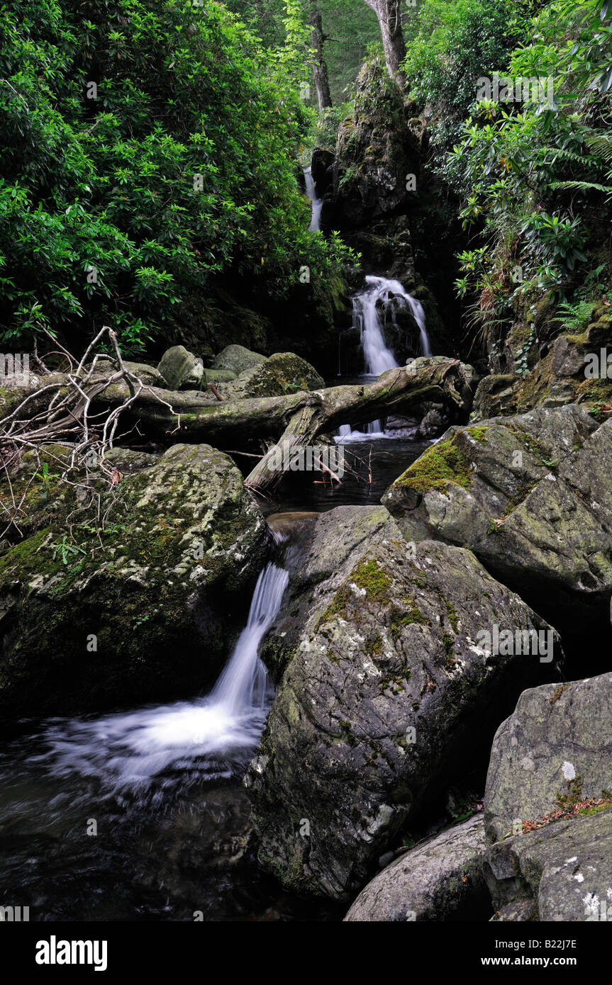 Cascade Falls waterfall, Tollymore Forest park county down northern ...