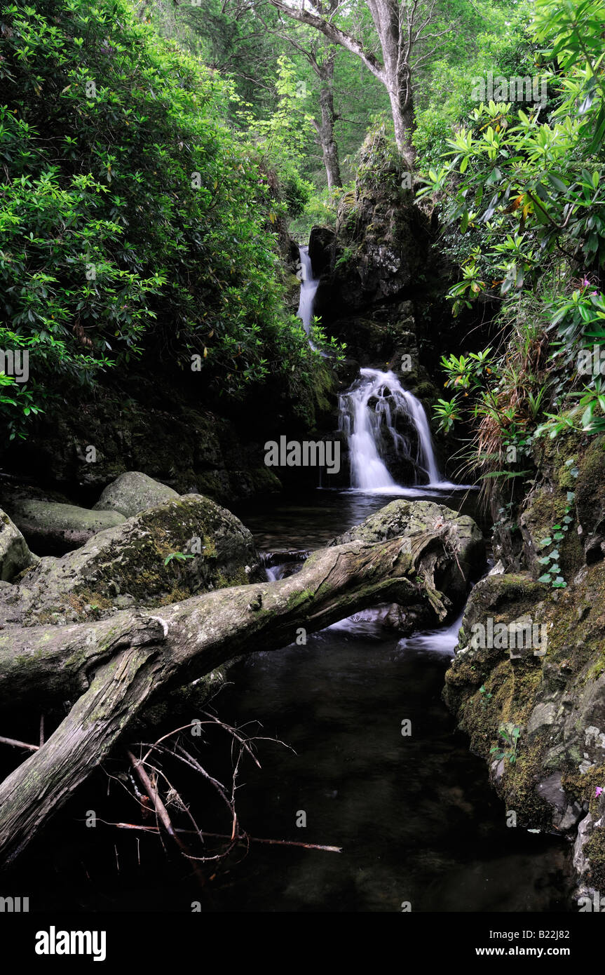 Cascade Falls waterfall, Tollymore Forest park county down northern ...
