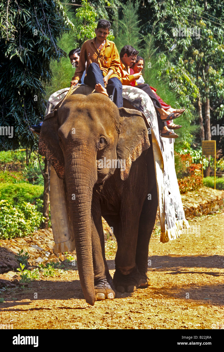 Bondla hi-res stock photography and images - Alamy