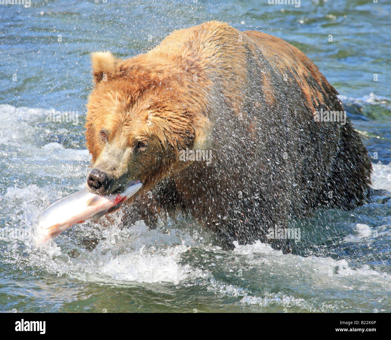 Broen hi-res stock photography and images - Alamy