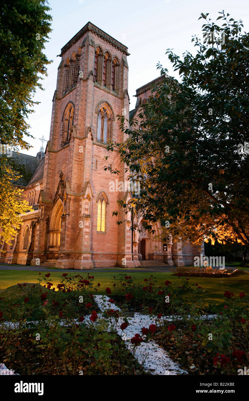 Andrew ross hi-res stock photography and images - Alamy