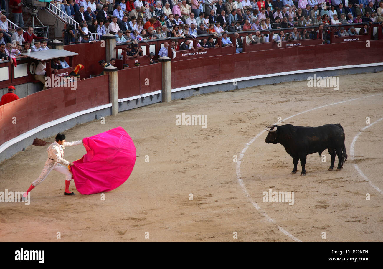 Bullring madrid hi-res stock photography and images - Alamy