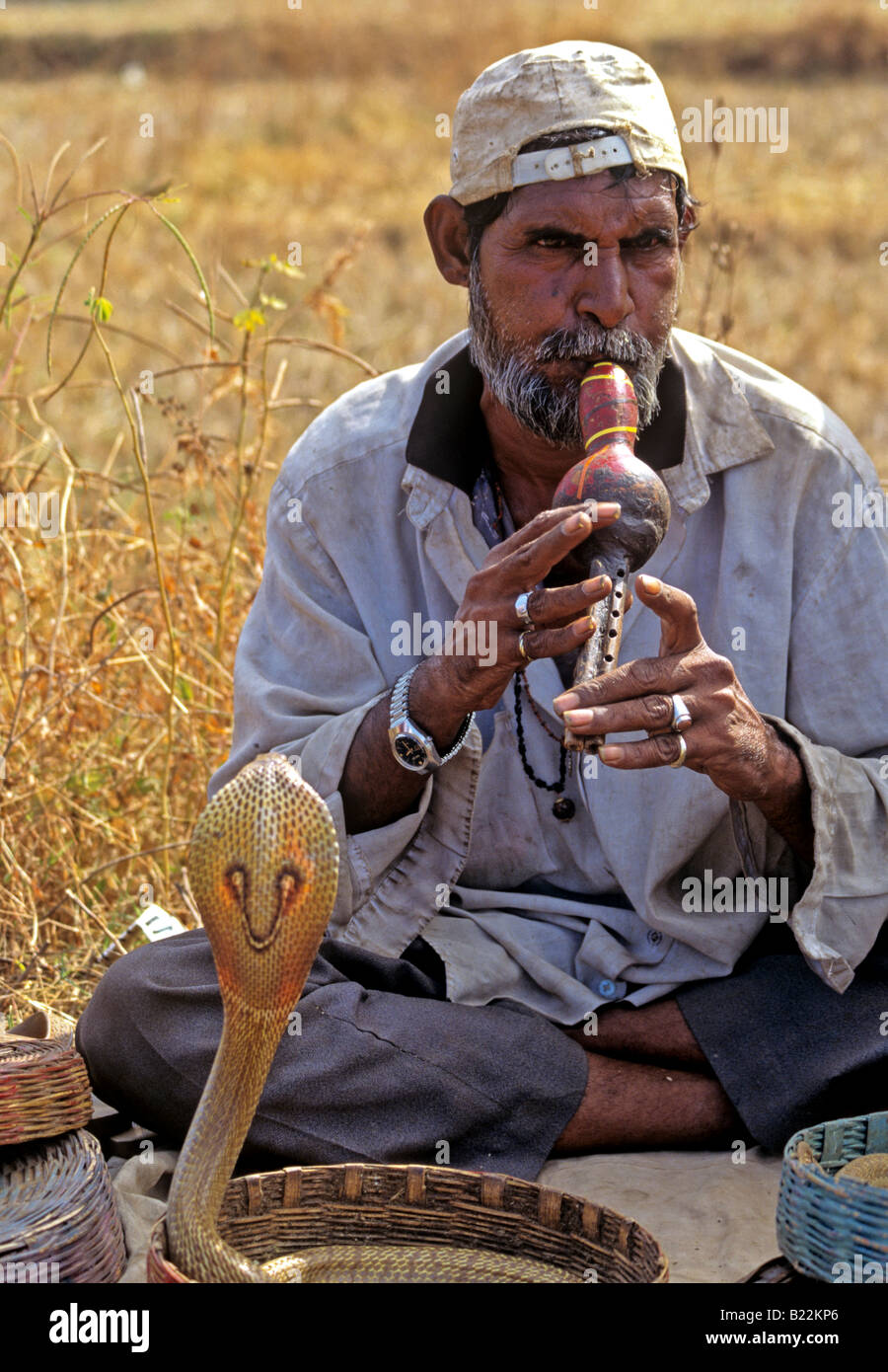 Snakes of goa hi-res stock photography and images - Alamy