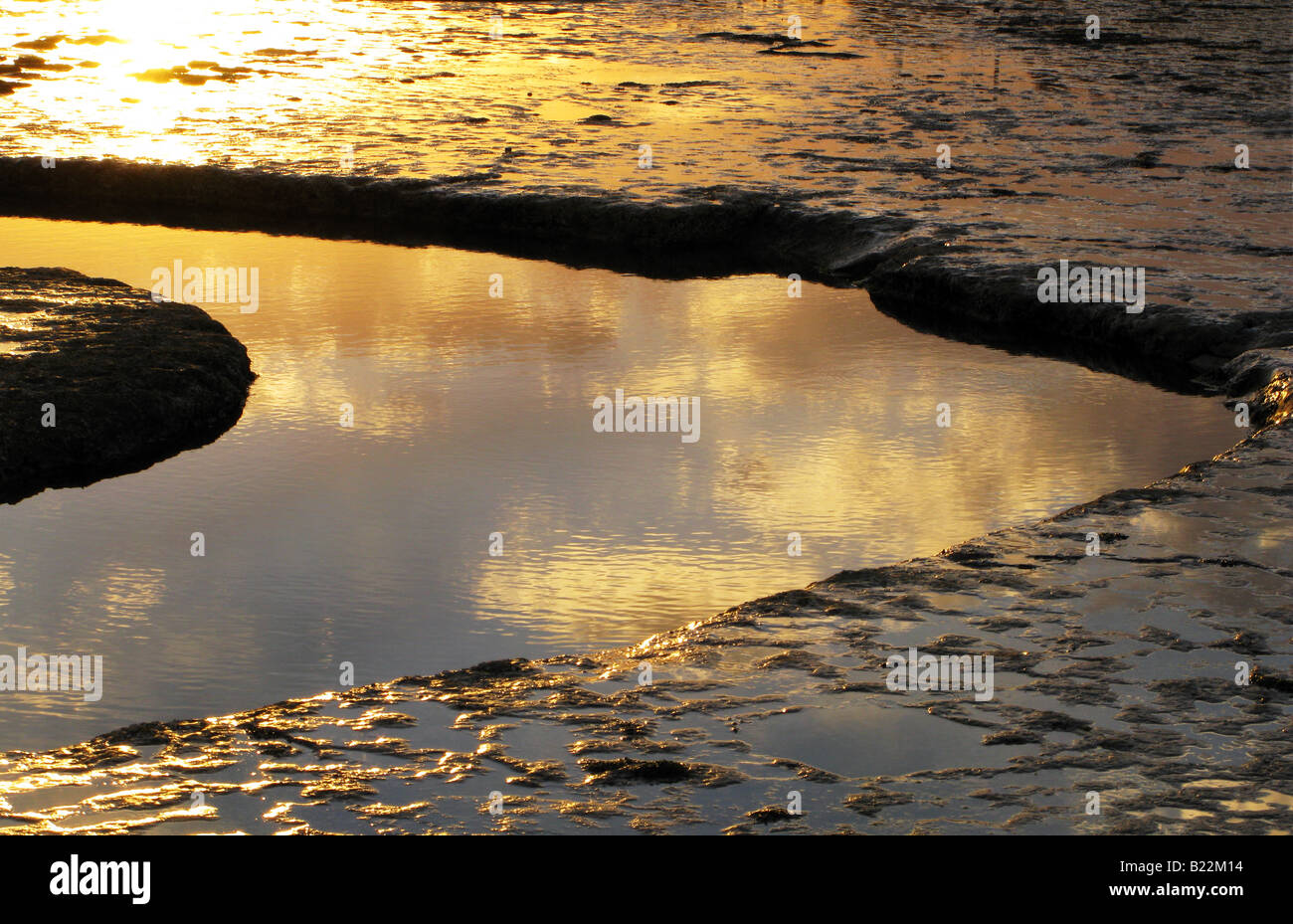at the beach Stock Photo - Alamy