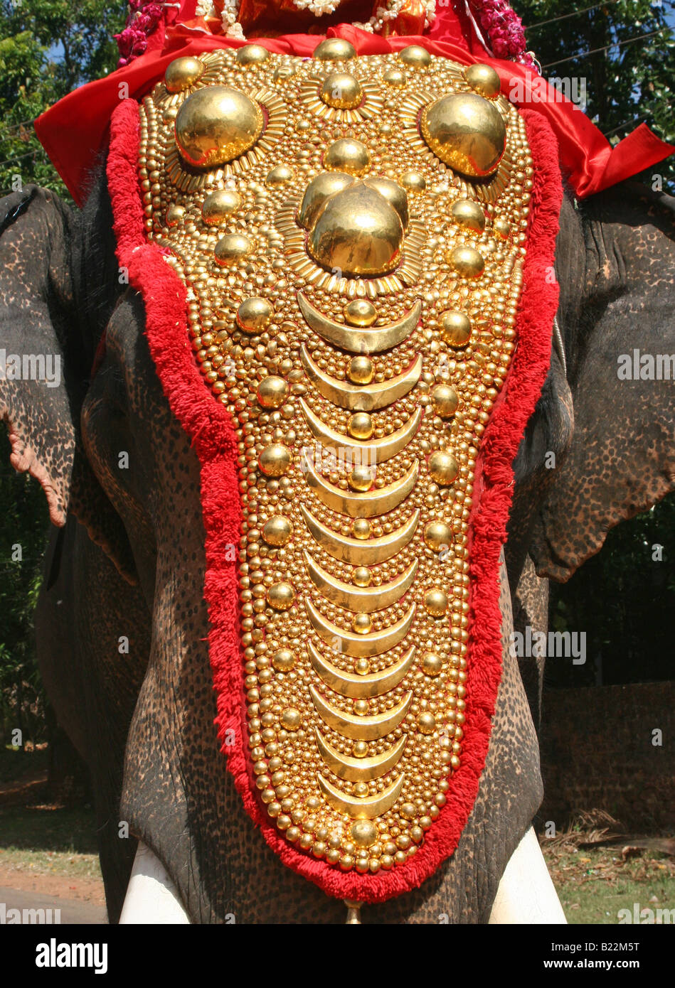 Elephant caparison hi-res stock photography and images - Alamy