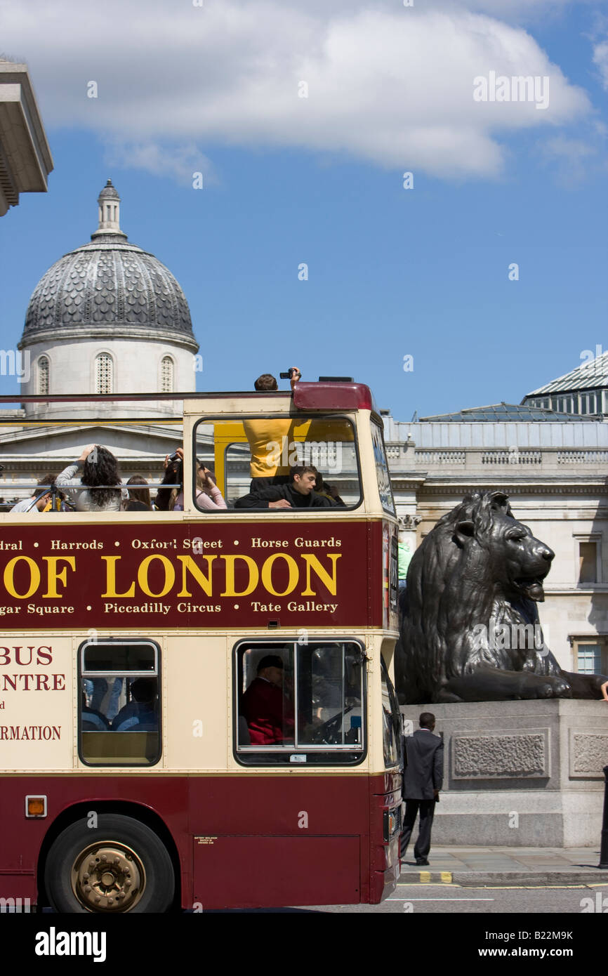 Lion bus hi-res stock photography and images - Alamy