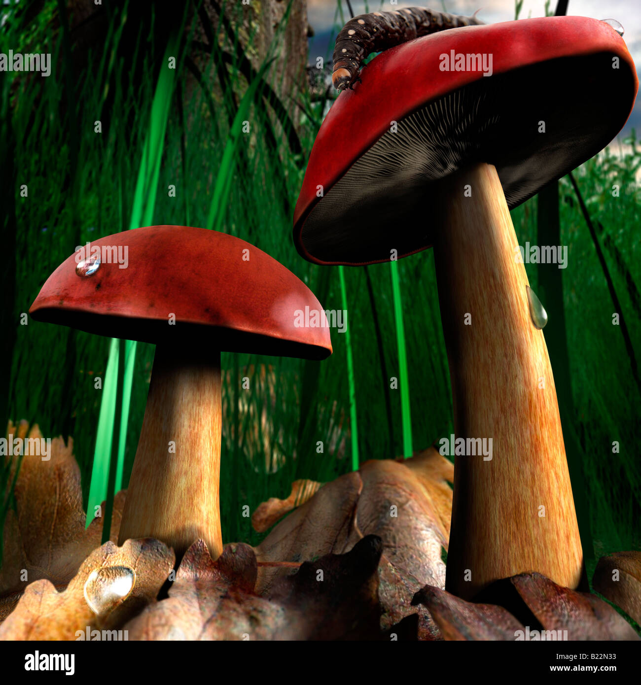 Mythic forest hi-res stock photography and images - Alamy