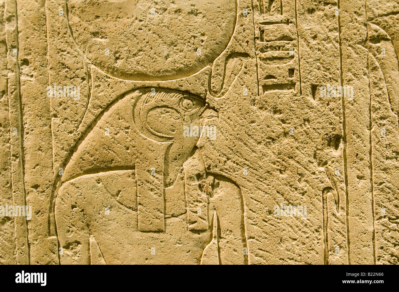 A hieroglyph relief depicting Ra or Re deity of the sun part of Ancient ...