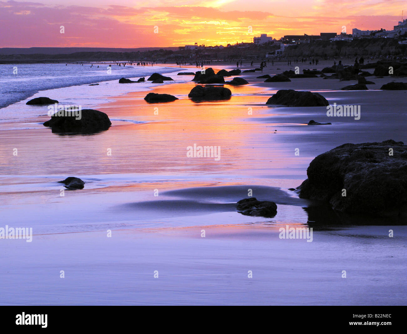 at the beach Stock Photo - Alamy