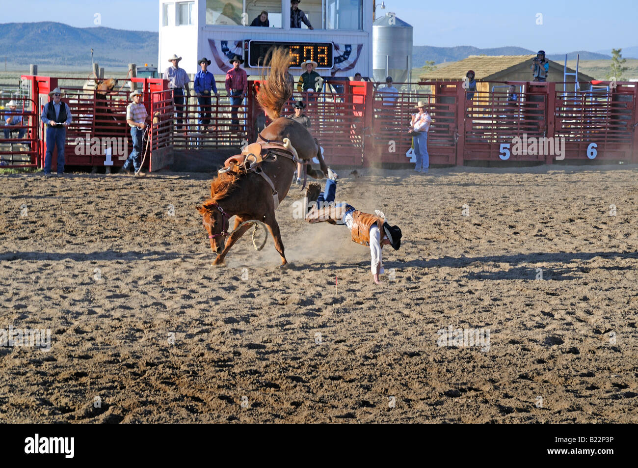 Calf roping history hi-res stock photography and images - Alamy