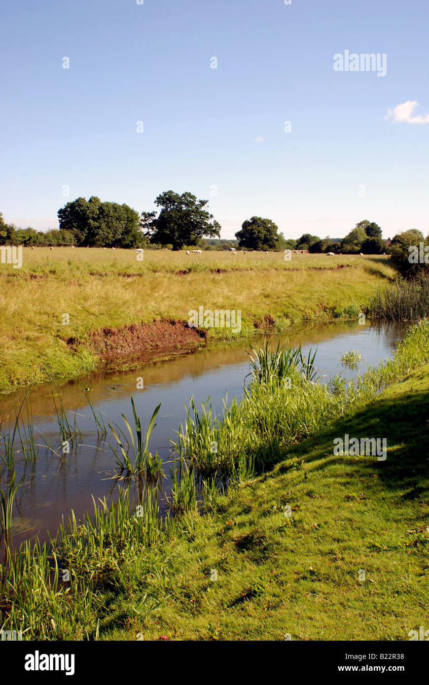 River Leam at Hunningham, Warwickshire, England, UK Stock Photo - Alamy