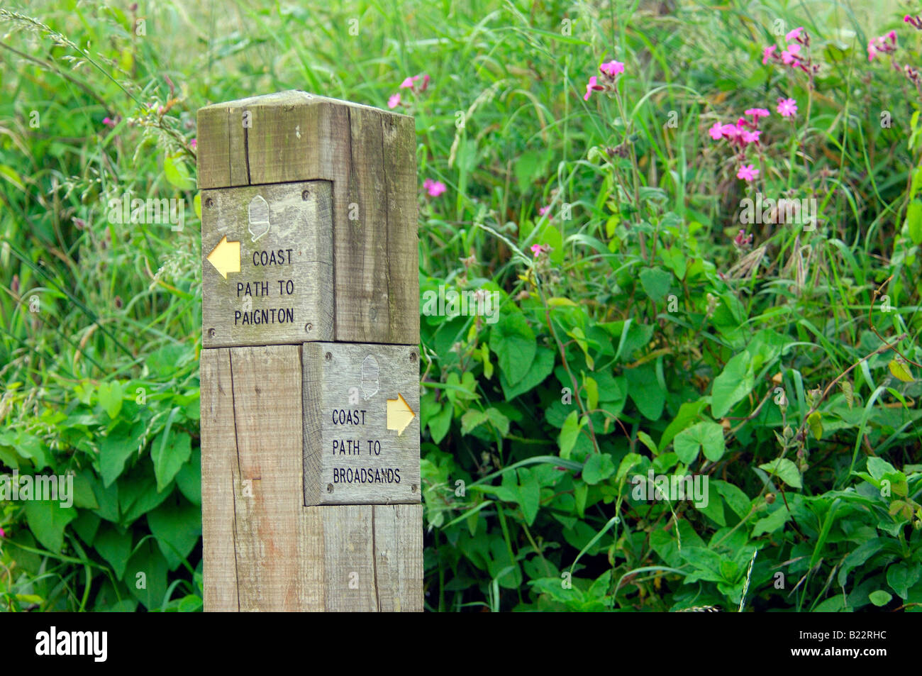 The south west coast path of paignton hi-res stock photography and ...