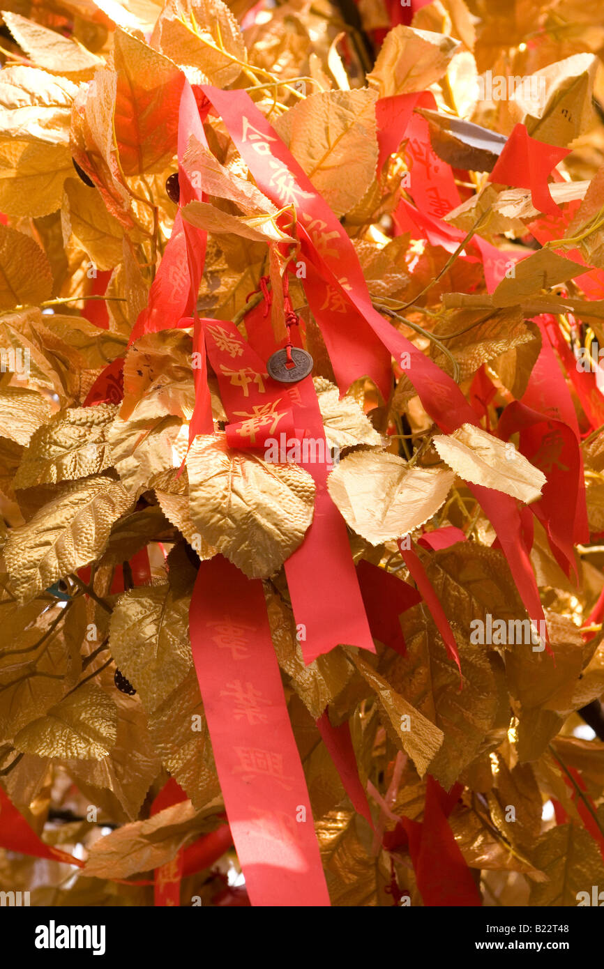 Detail from the golden tree in central Shanghai Stock Photo - Alamy