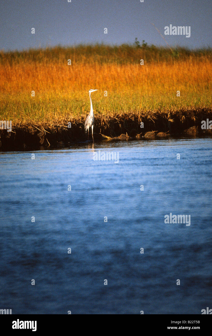 Winyah bay hi-res stock photography and images - Alamy