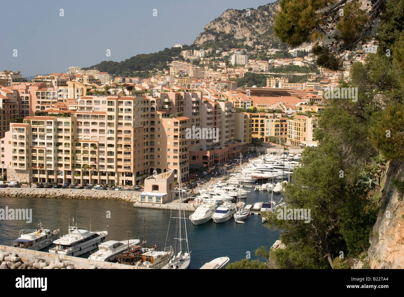 Tax bat hi-res stock photography and images - Alamy